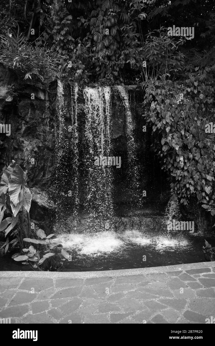 Water fall seen in the Singapore Botanic Gardens Stock Photo - Alamy