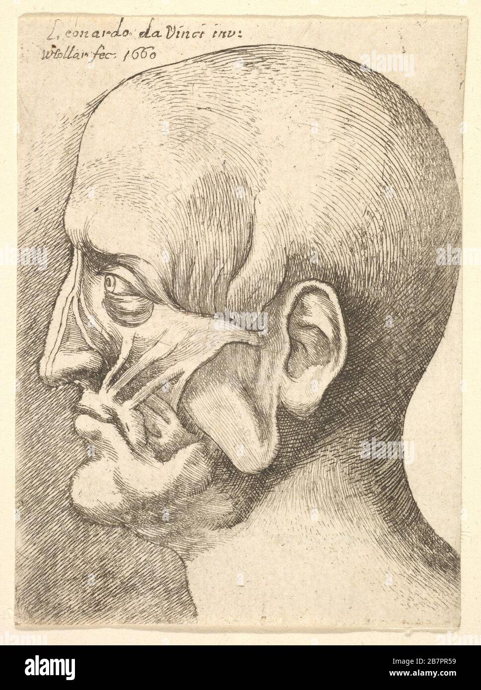 An ecorche hi-res stock photography and images - Alamy