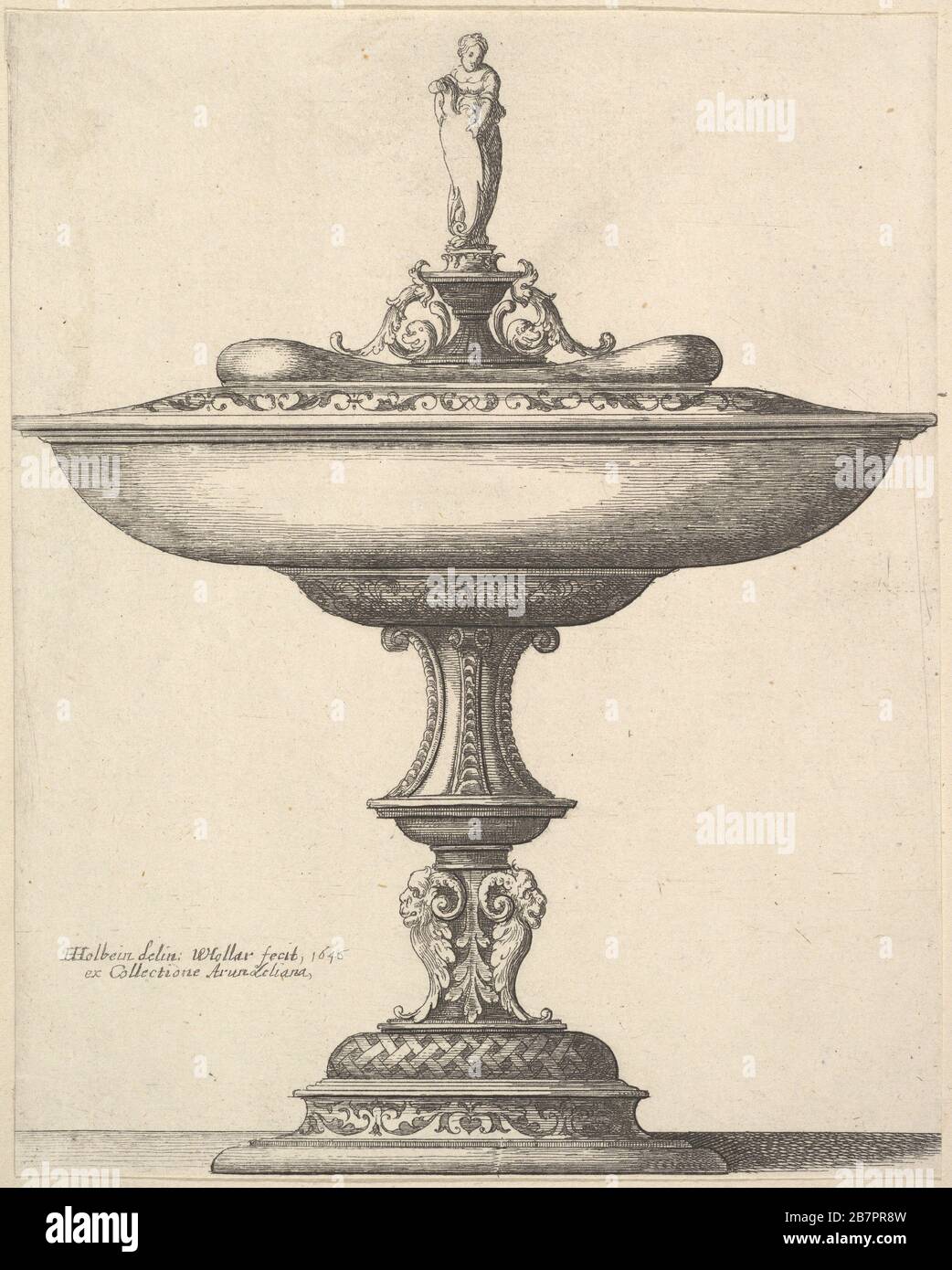 Wide stem hi-res stock photography and images - Alamy