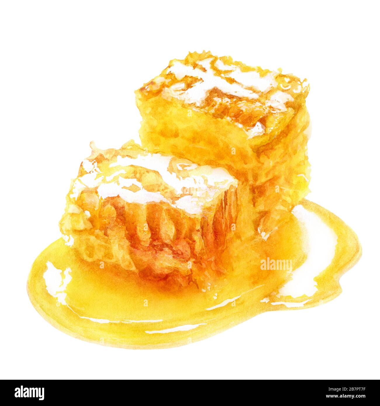 Honey comb watercolor isolated on white background Stock Photo - Alamy