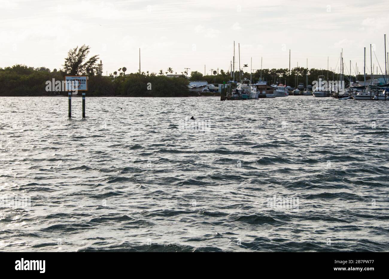 Indian River, Florida Stock Photo - Alamy