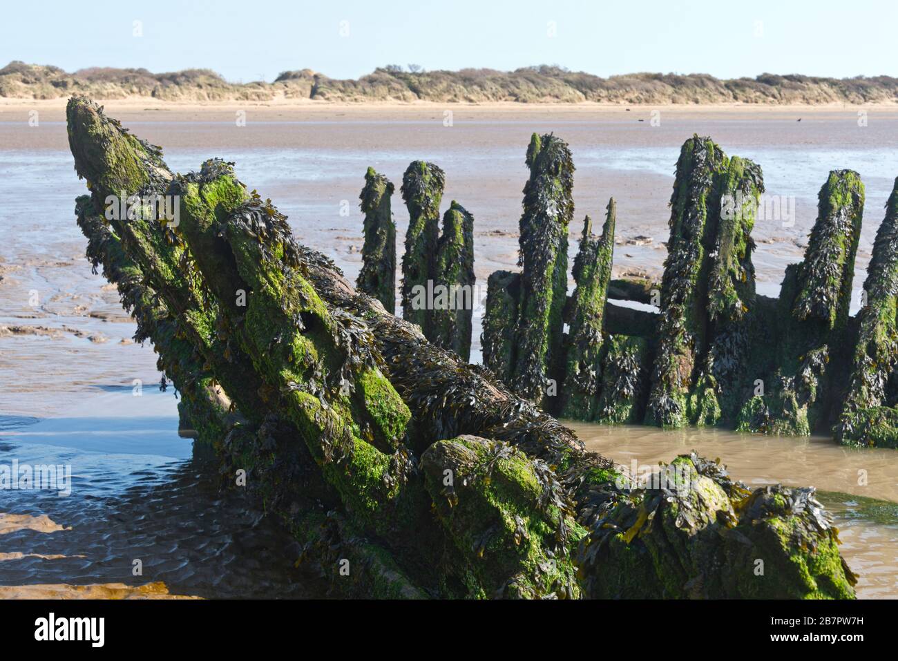 The wooden remains of the stranded wreck of the Norwegian barque that ...