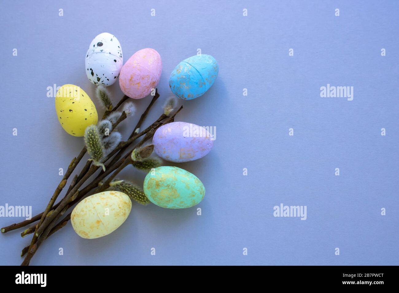 cut willow twigs on lilac background with muiticolored eggs for Easter ...