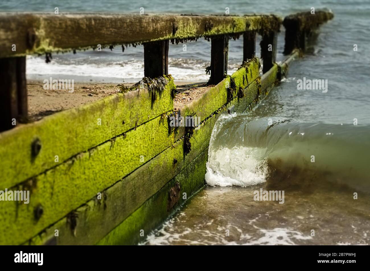 A weather beaten wooden groyne on an Isle of Wight shingle beach worn ...