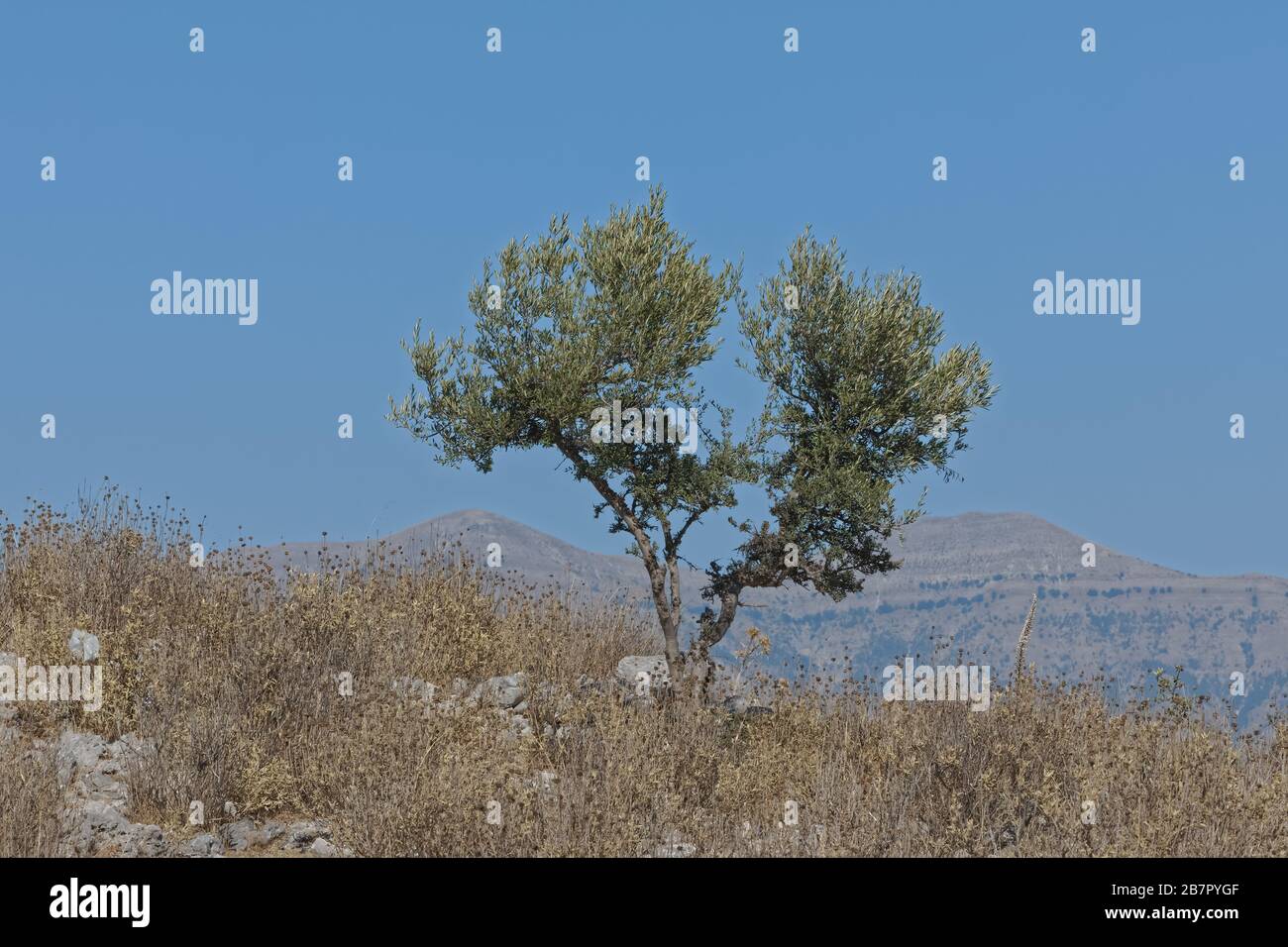 City in albania hi-res stock photography and images - Alamy