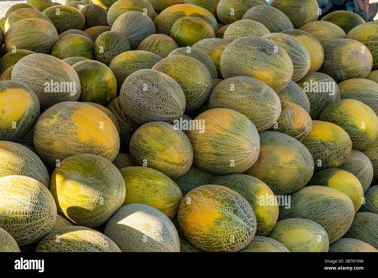 Uzbekistan melon hi-res stock photography and images - Alamy