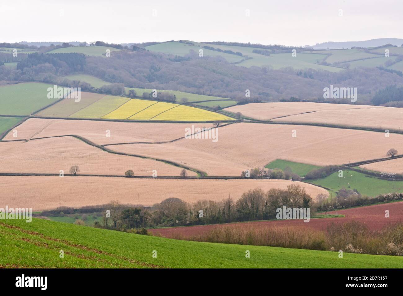 a view across the open countryside near Roadwater in Somerset showing ...