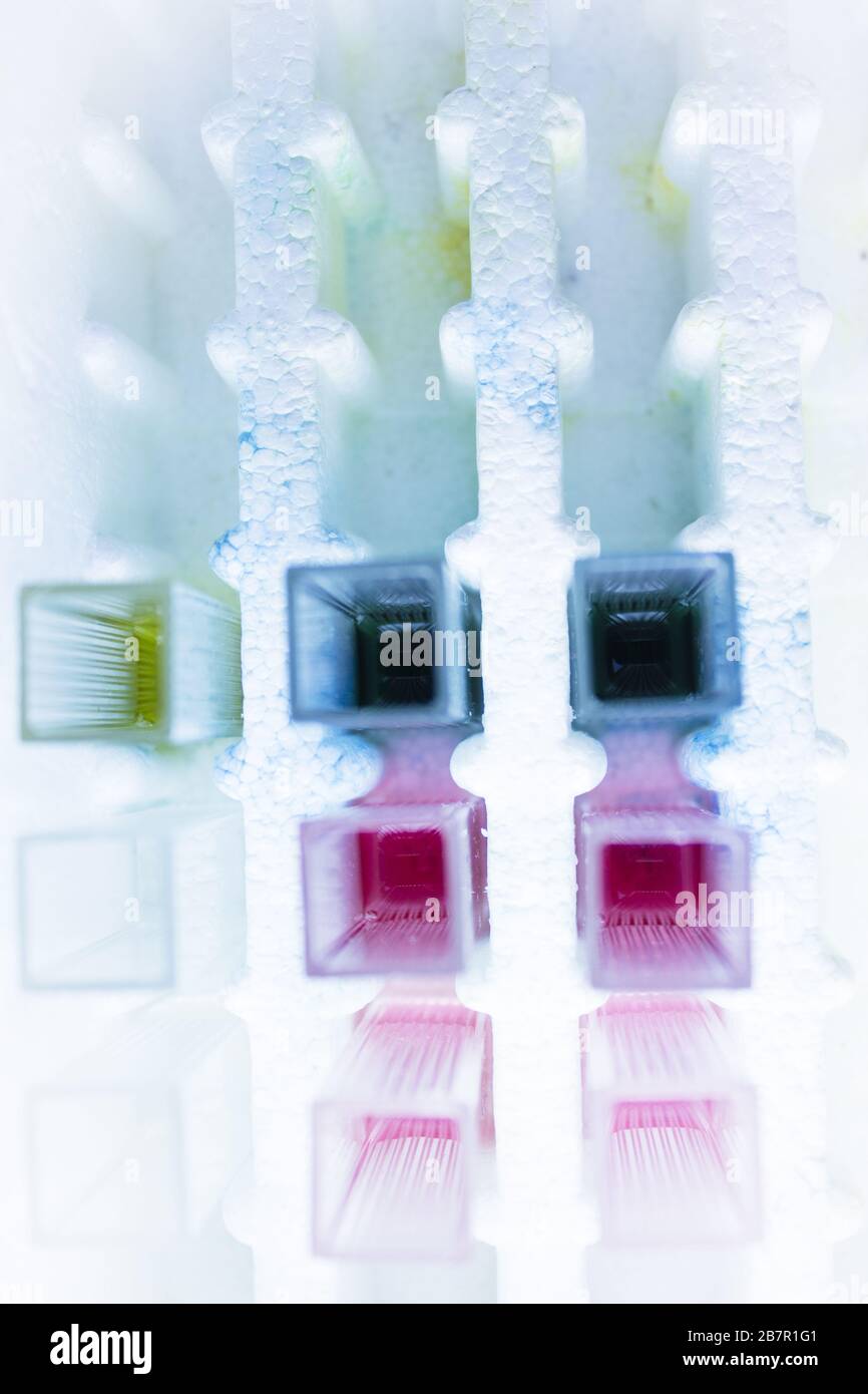 Reactive tests in the laboratory. Virus Stock Photo - Alamy