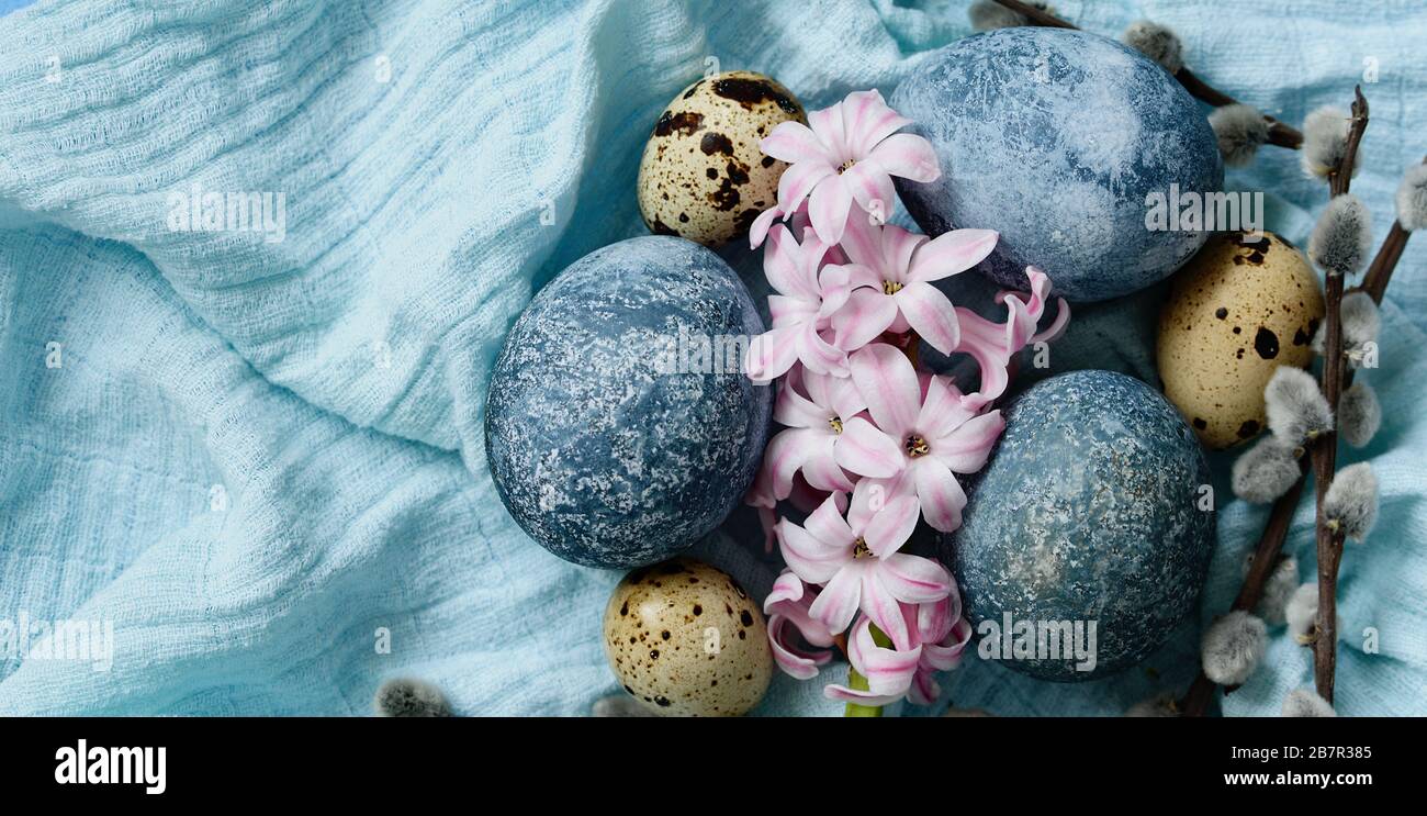 Blue Easter eggs on blue background. Naturally Eggs painted with ...