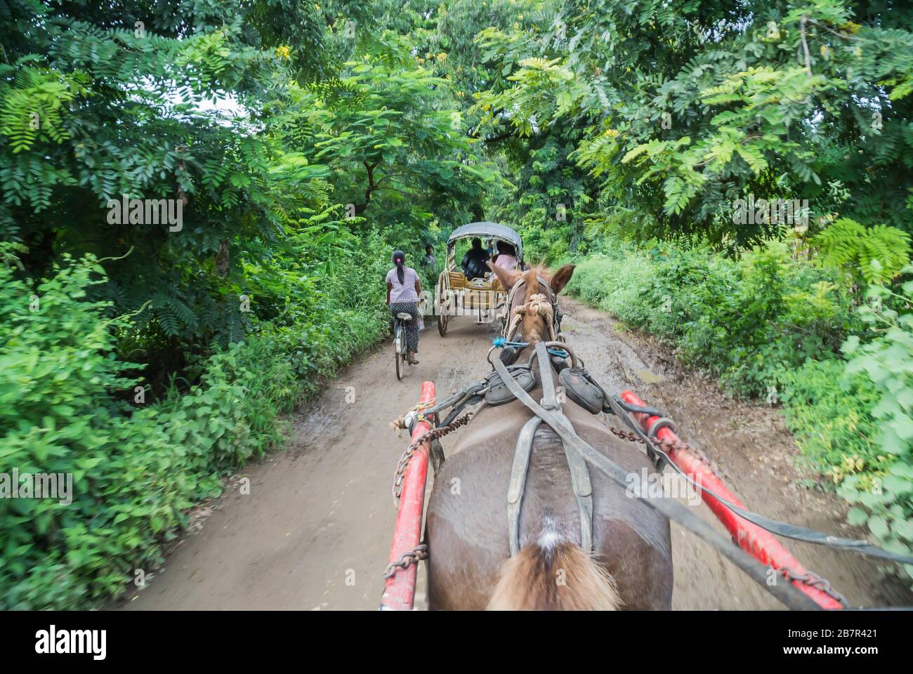 Riding horse buggy hi-res stock photography and images - Alamy