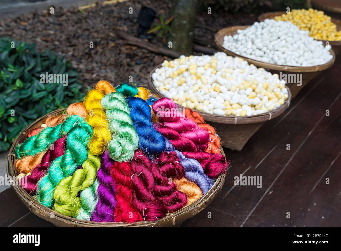 Close up view of colorful Thai silk yarn and cocoon Stock Photo - Alamy