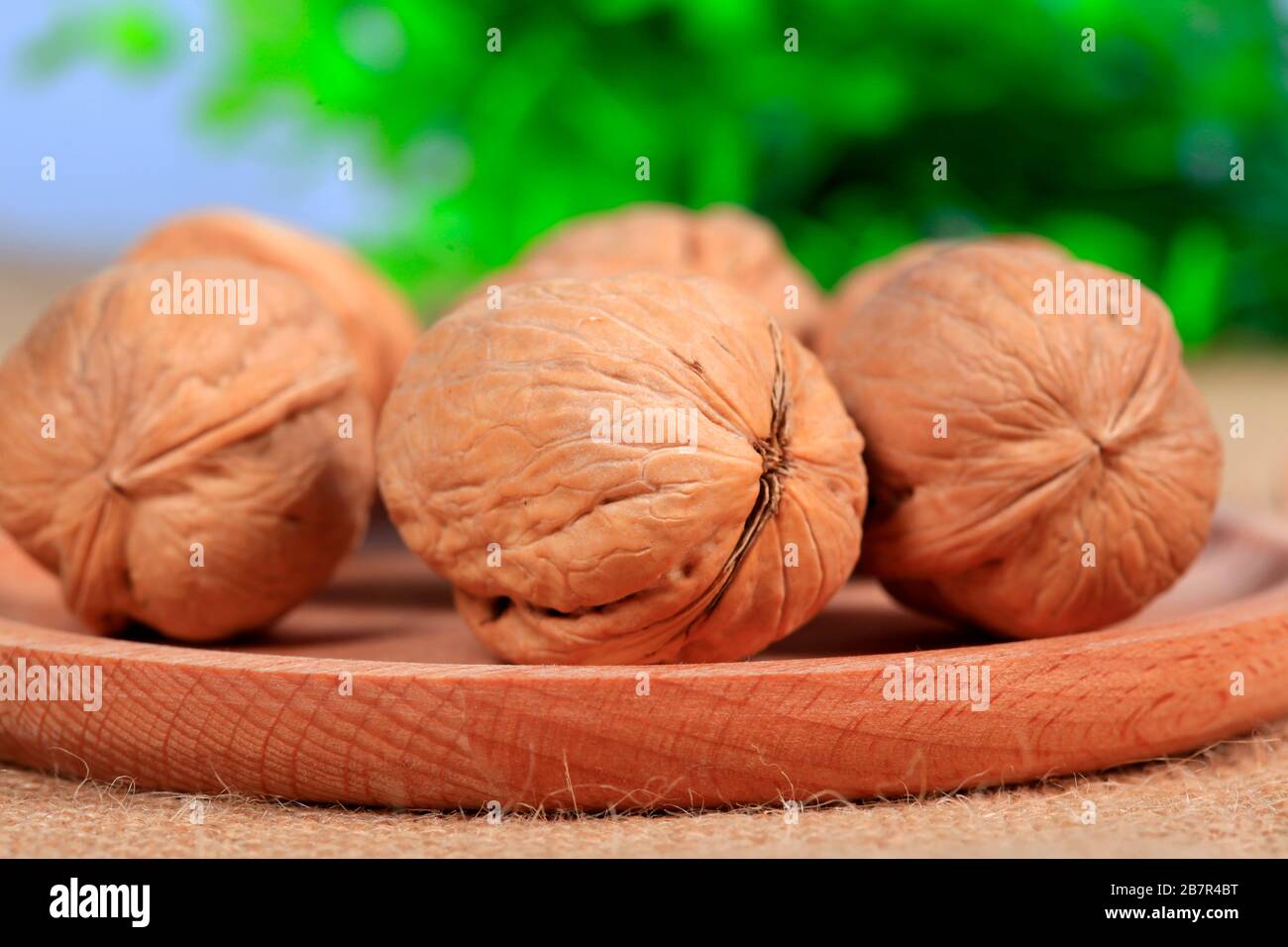 walnut, Close-up of a walnut Stock Photo - Alamy