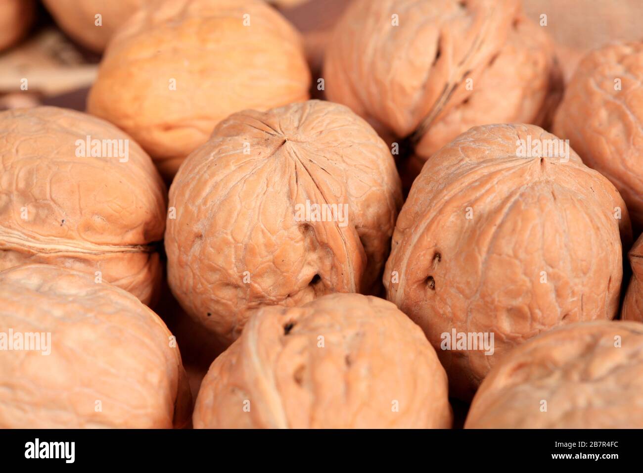 walnut, Close-up of a walnut Stock Photo - Alamy