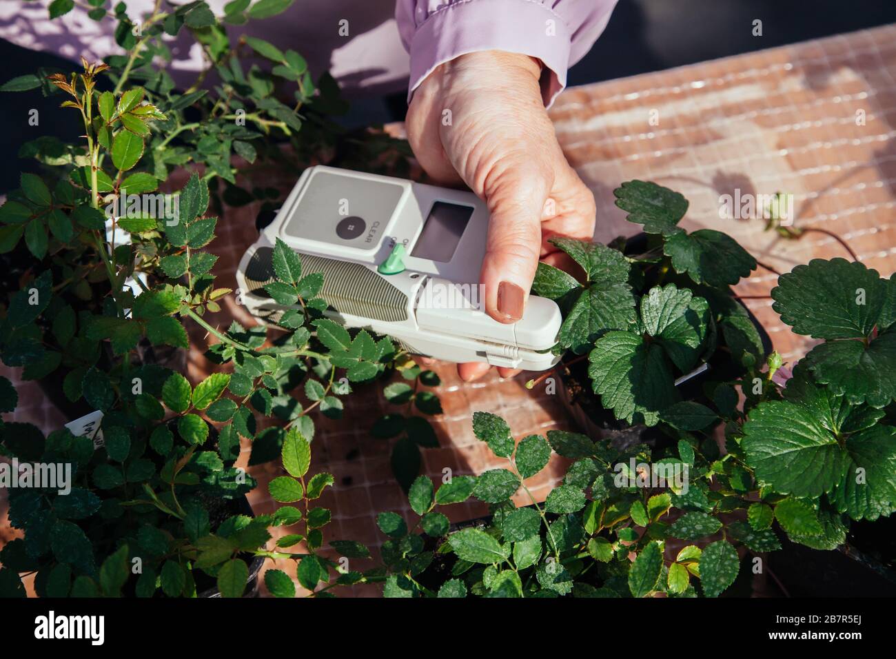 Modern portable device for measuring the chlorophyll and nitrogen ...