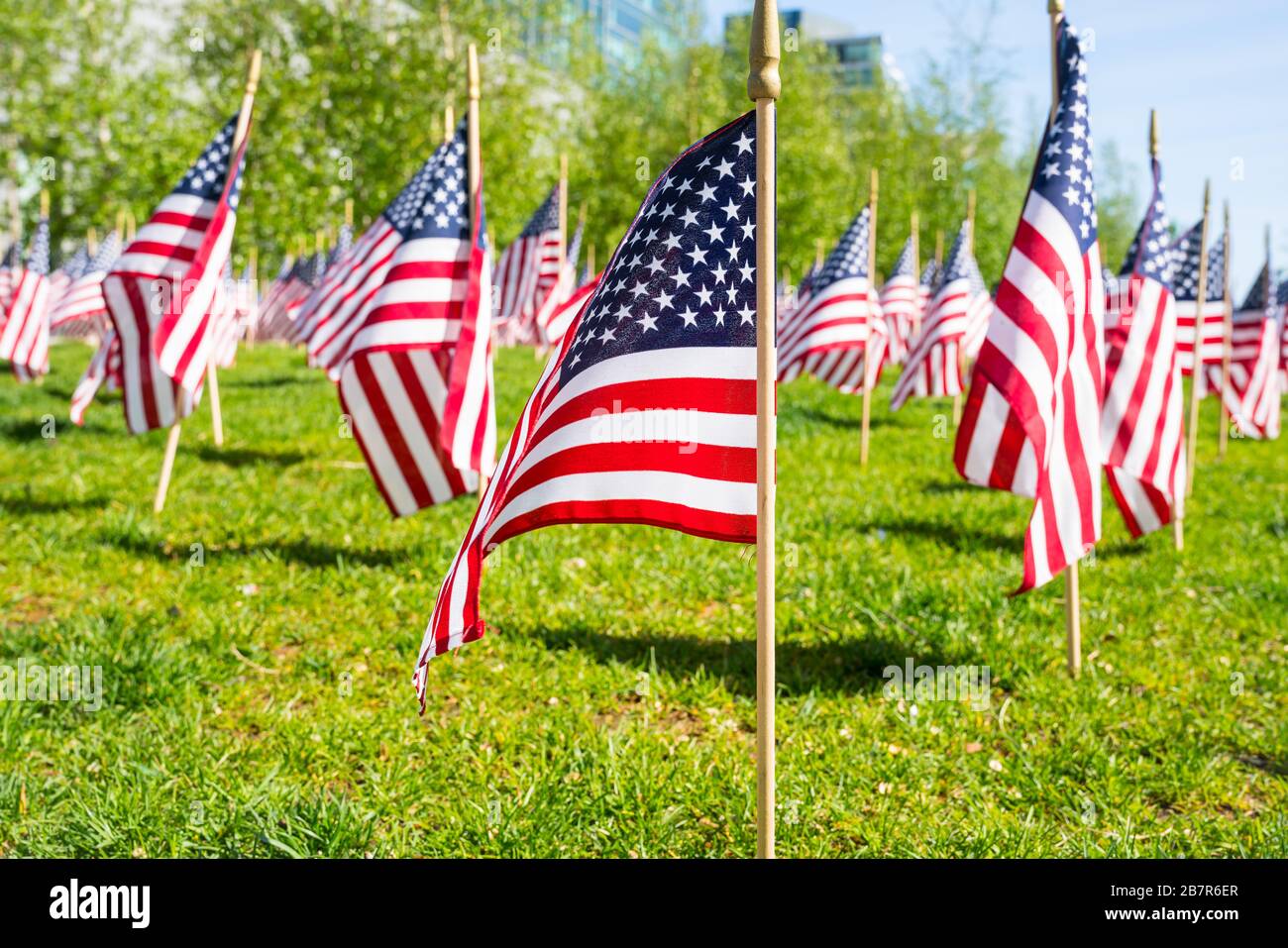 American flags on display hi-res stock photography and images - Alamy