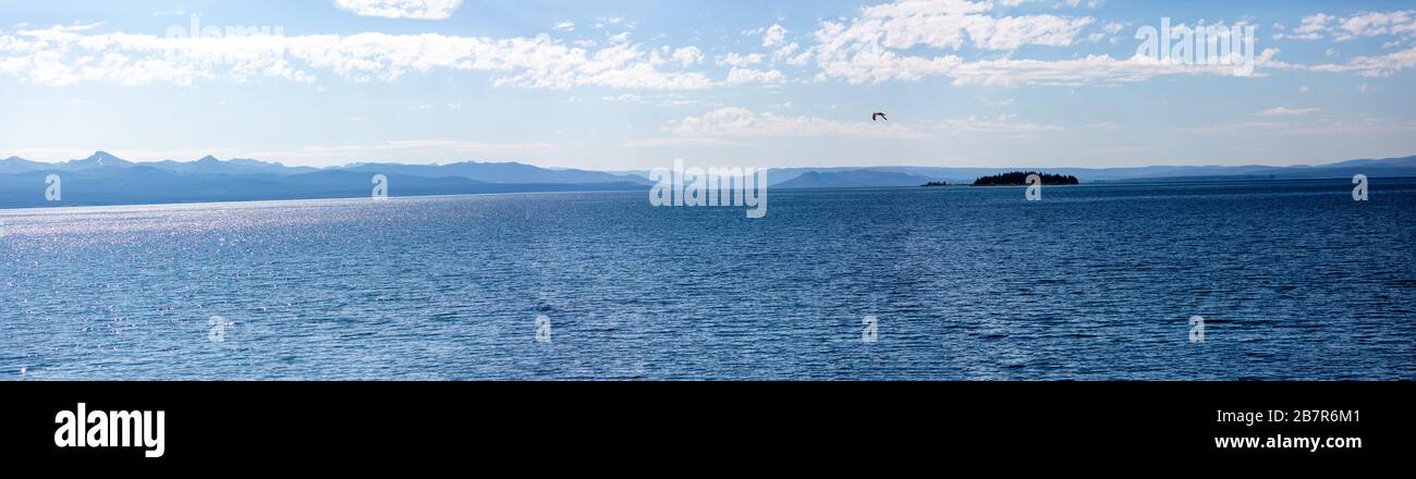 Yellowstone Lake with an island and a seagul in front of mountains in ...