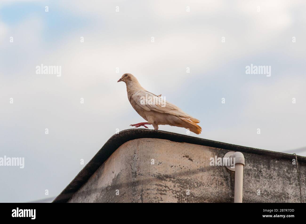 Decisive step hi-res stock photography and images - Alamy