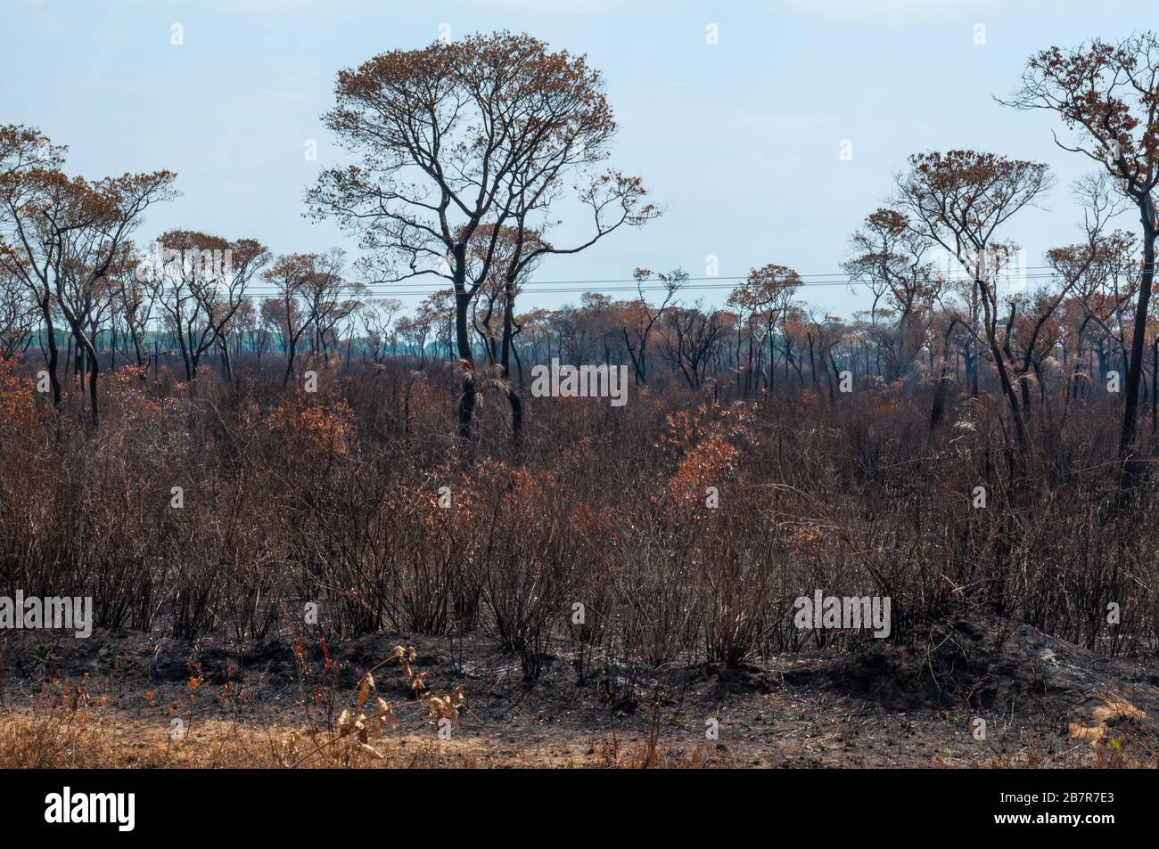 Burnt land hi-res stock photography and images - Alamy