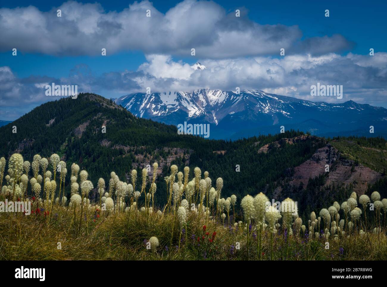Mountain in Oregon Stock Photo - Alamy
