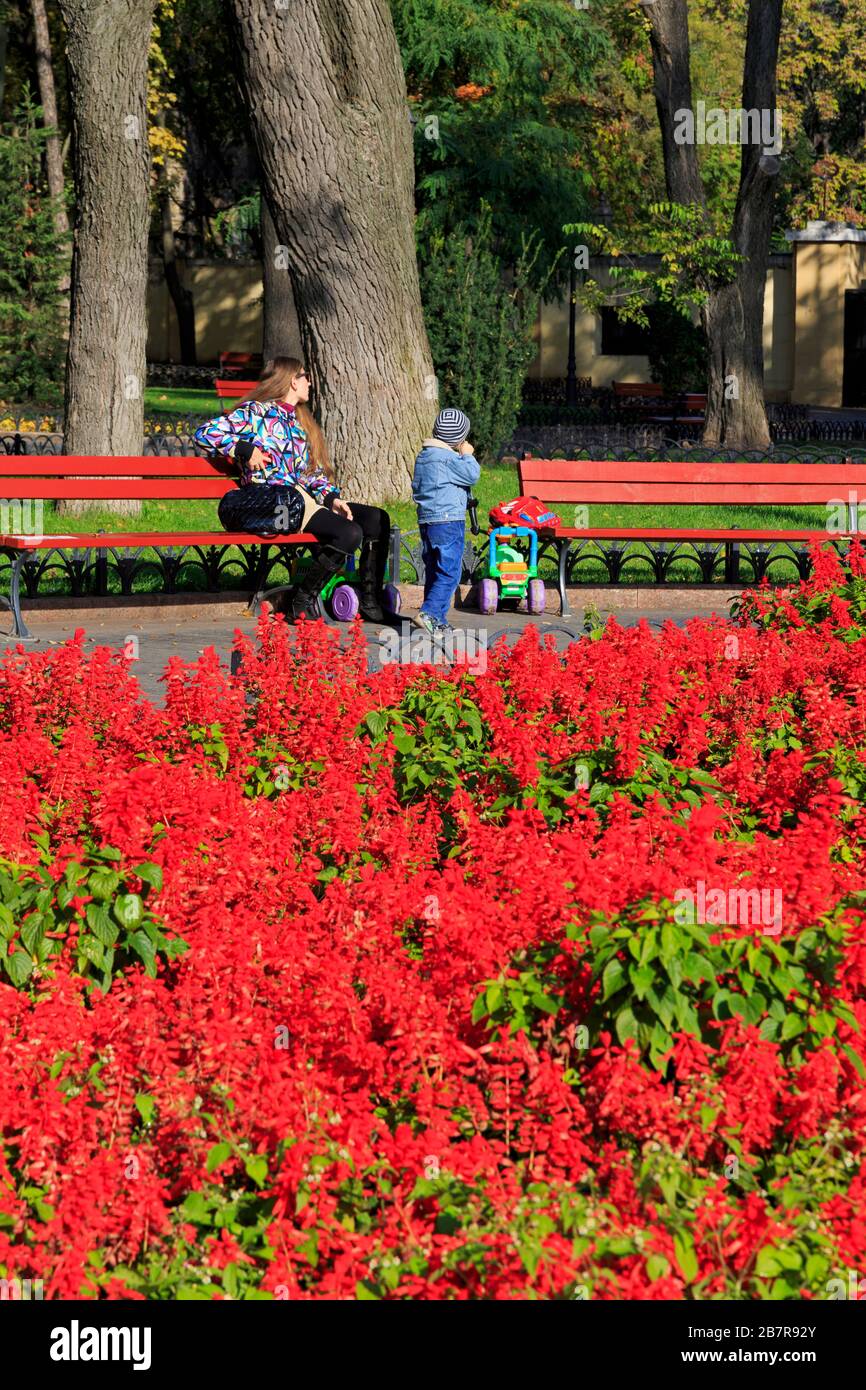 Crimea flowers hi-res stock photography and images - Alamy