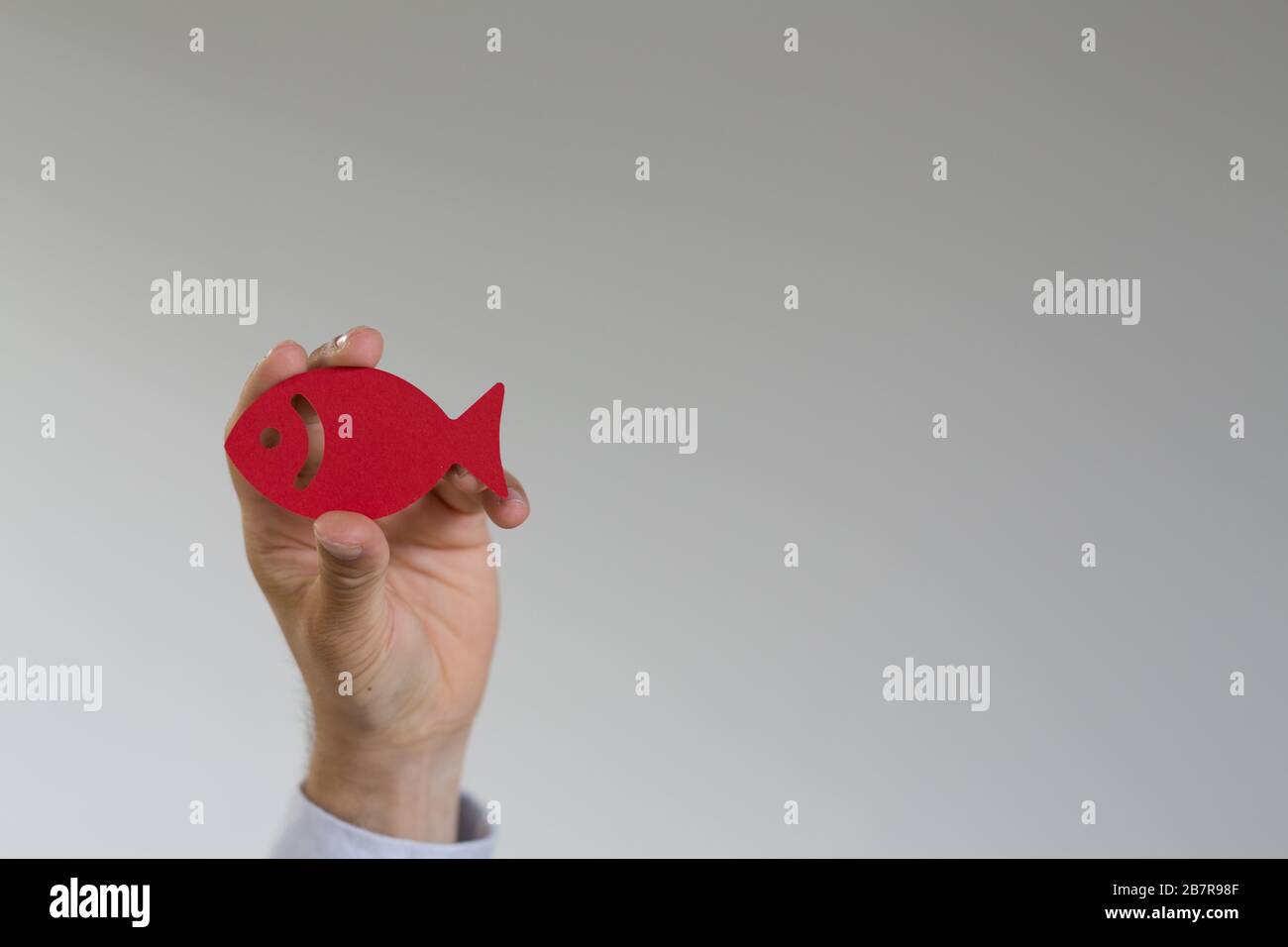 Projection plate hi-res stock photography and images - Alamy