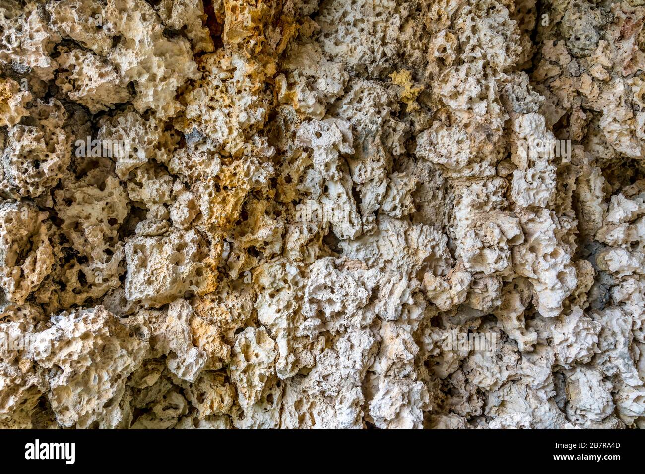 Reef texture hi-res stock photography and images - Alamy