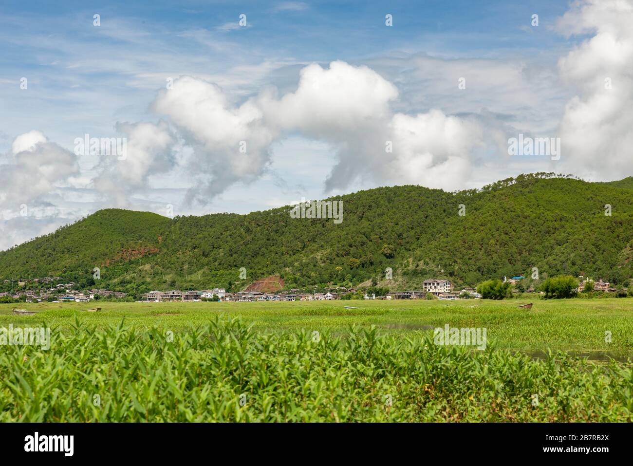 Lashi Lake, part of the Lijiang–Lashihai Plateau Wetland Nature Reserve ...