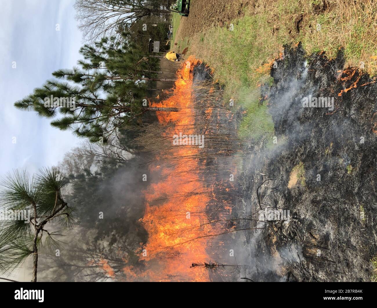 Vertical picture of a burning forest under a cloudy sky at daytime ...