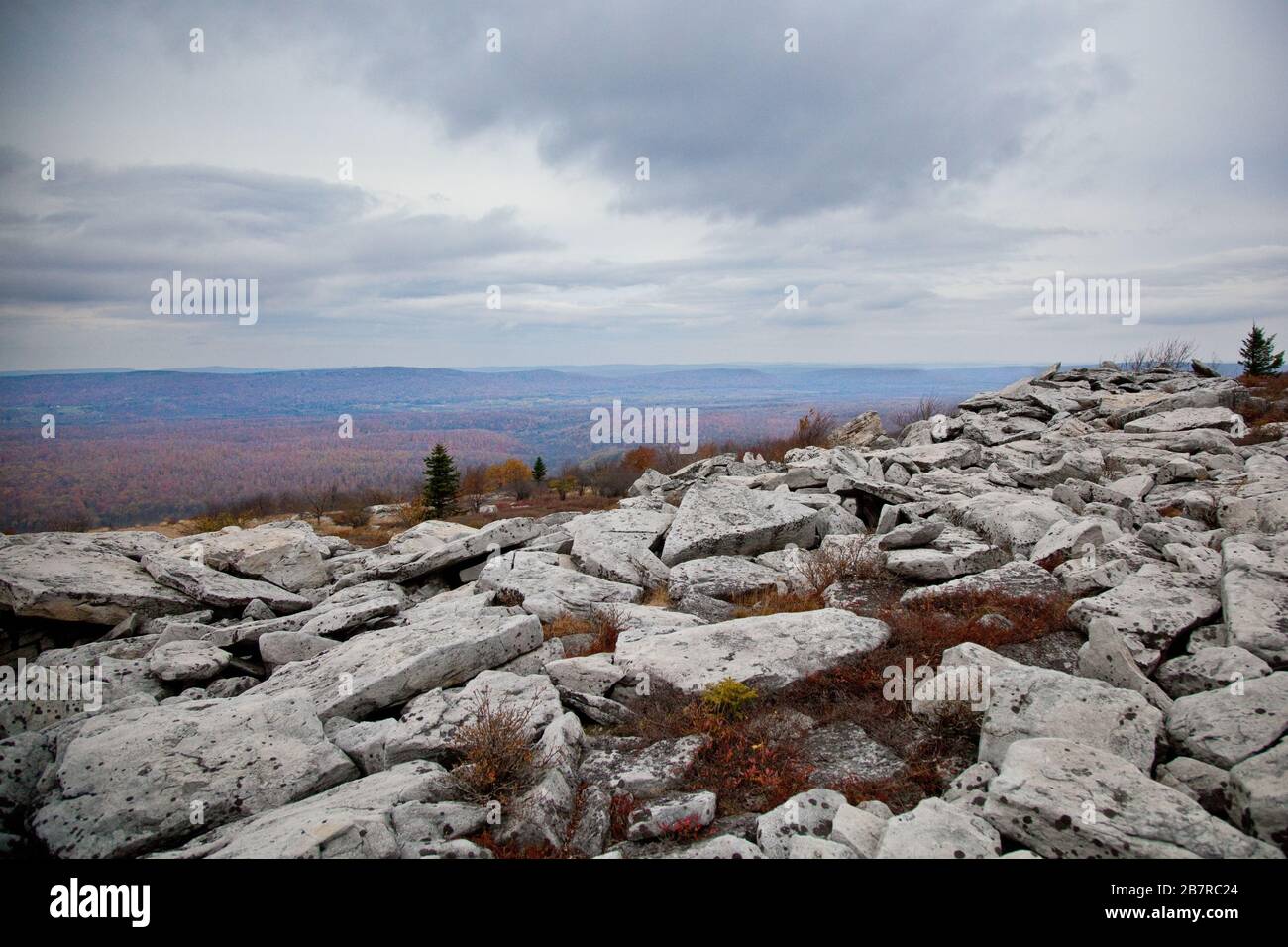 Sandstone rock formations along Rocky Ridge Trail in Dolly Sods ...