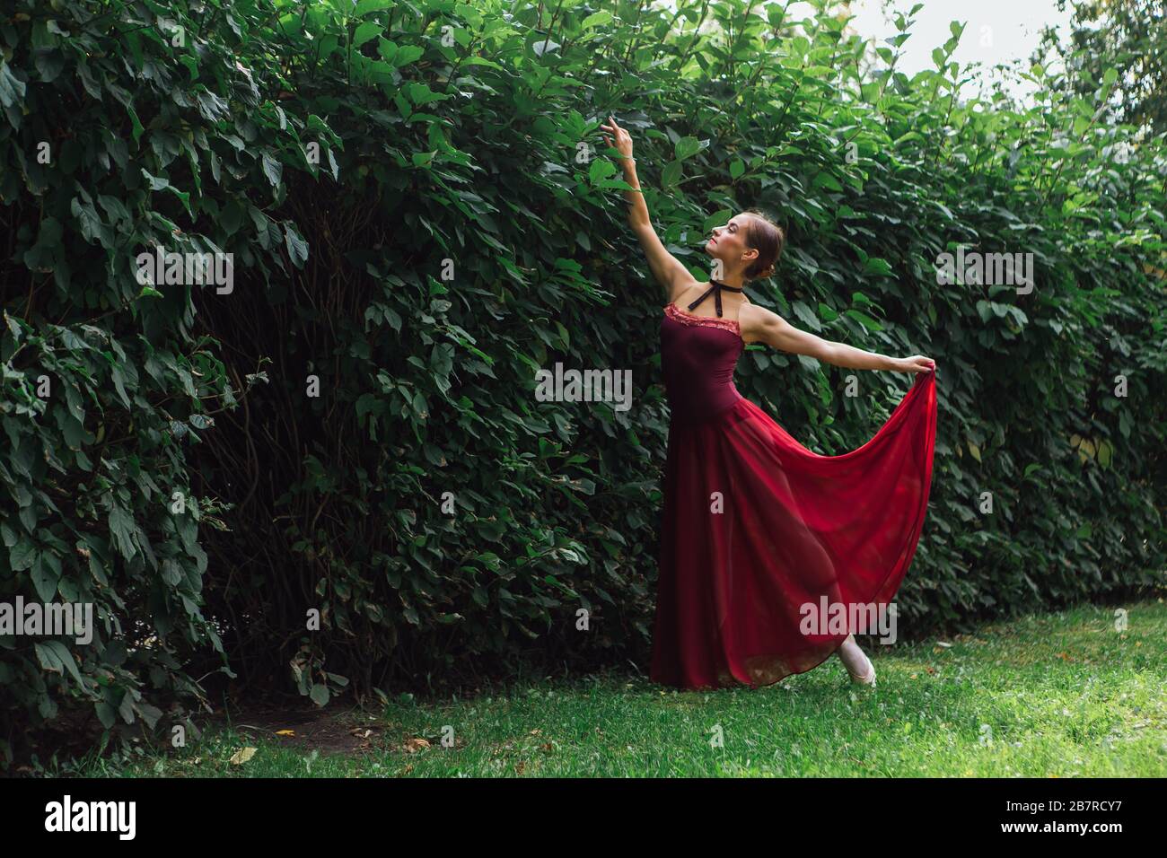 Woman Ballerina In Red Ballet Dress Dancing In Pointe Shoes Posing Next To The Wall Of Bushes