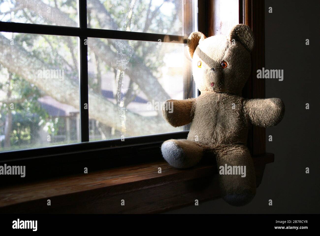 Cute teddy bear placed on the window Stock Photo - Alamy
