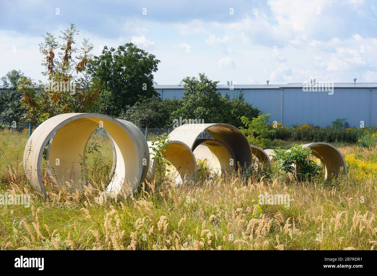 Circular objects on a field of grass surrounded by trees behind the ...