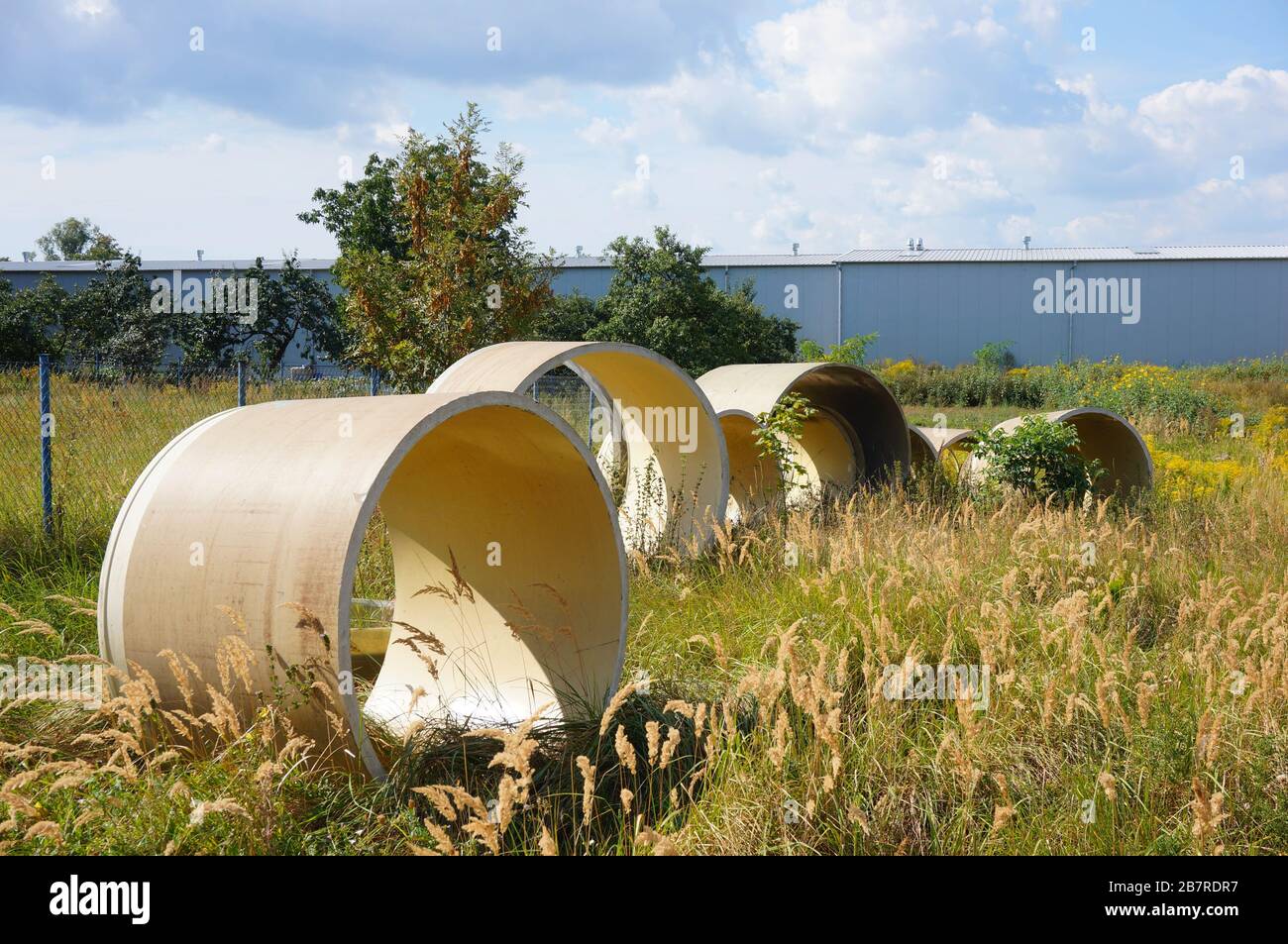 Circular objects on a field of grass surrounded by trees behind the ...