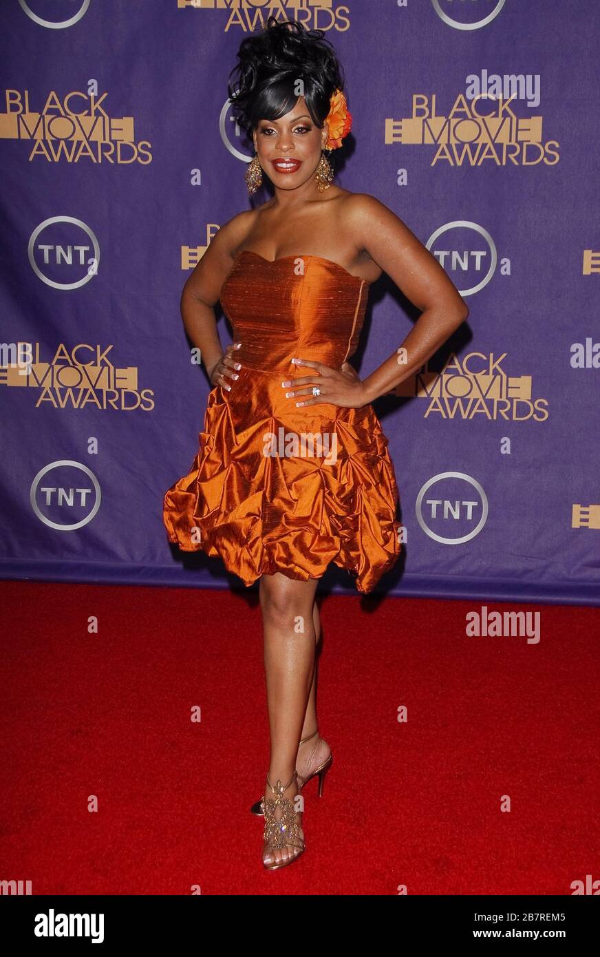 Niecy Nash at the Film Life's 2nd Annual Black Movie Awards held at The ...