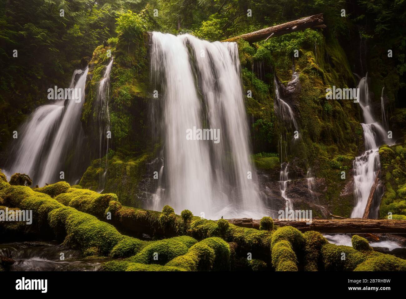 Waterfall in forest moss hi-res stock photography and images - Alamy
