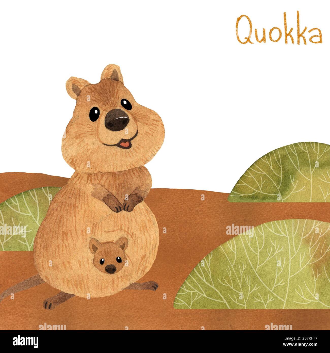 Quokka Cute