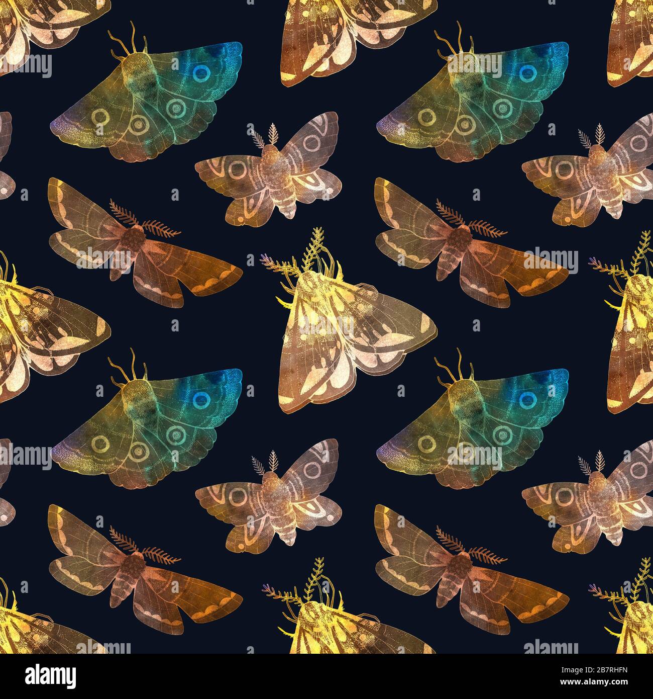 Colorful watercolor seamless pattern. Hand drawn ink moth with poppy ...