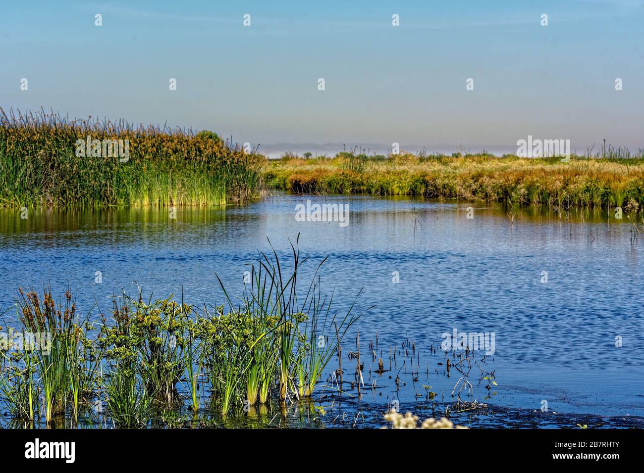 Alviso Marina County Park in Alviso California USA Stock Photo - Alamy