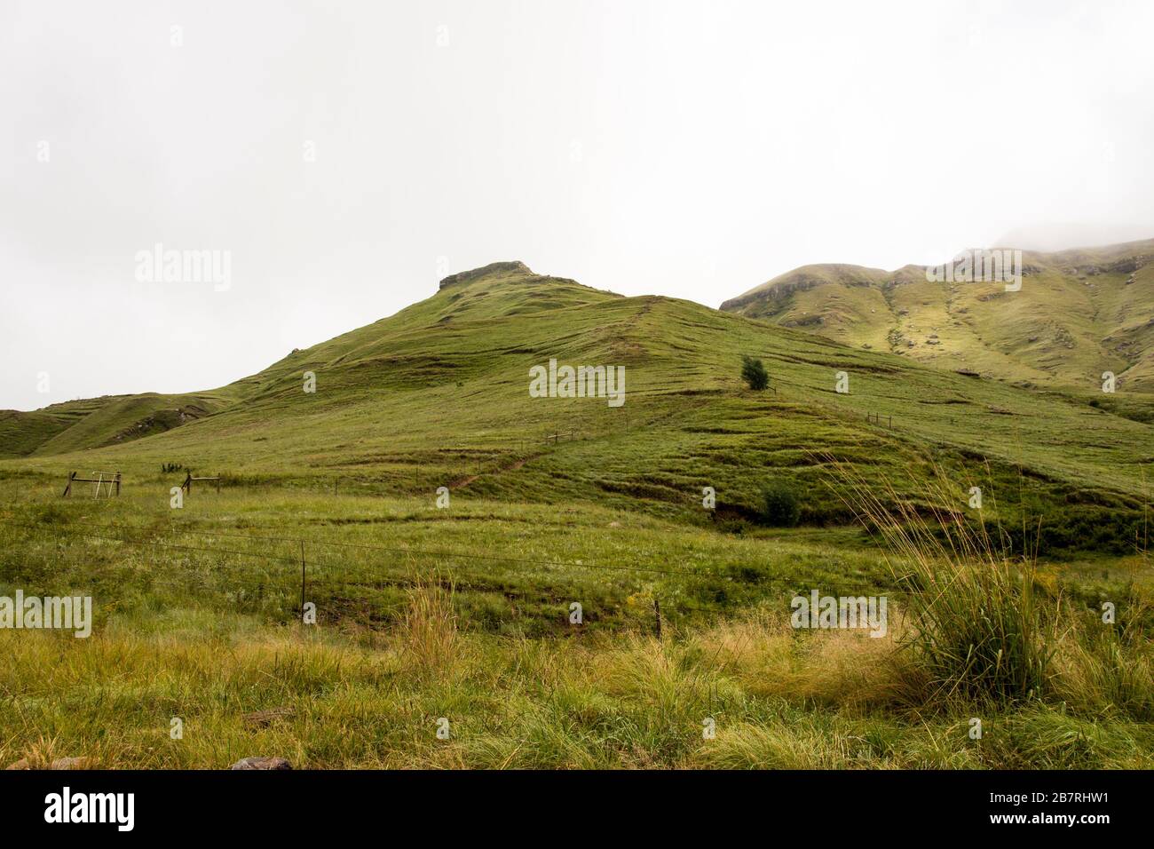 Grass covered field at base of mountains Stock Photo - Alamy