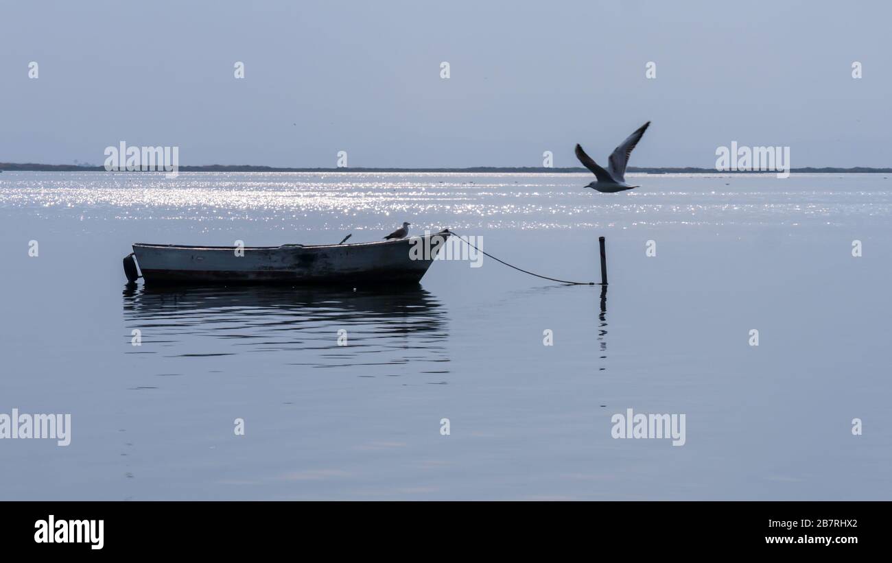 Small fishing boat floating on the sea water Stock Photo - Alamy