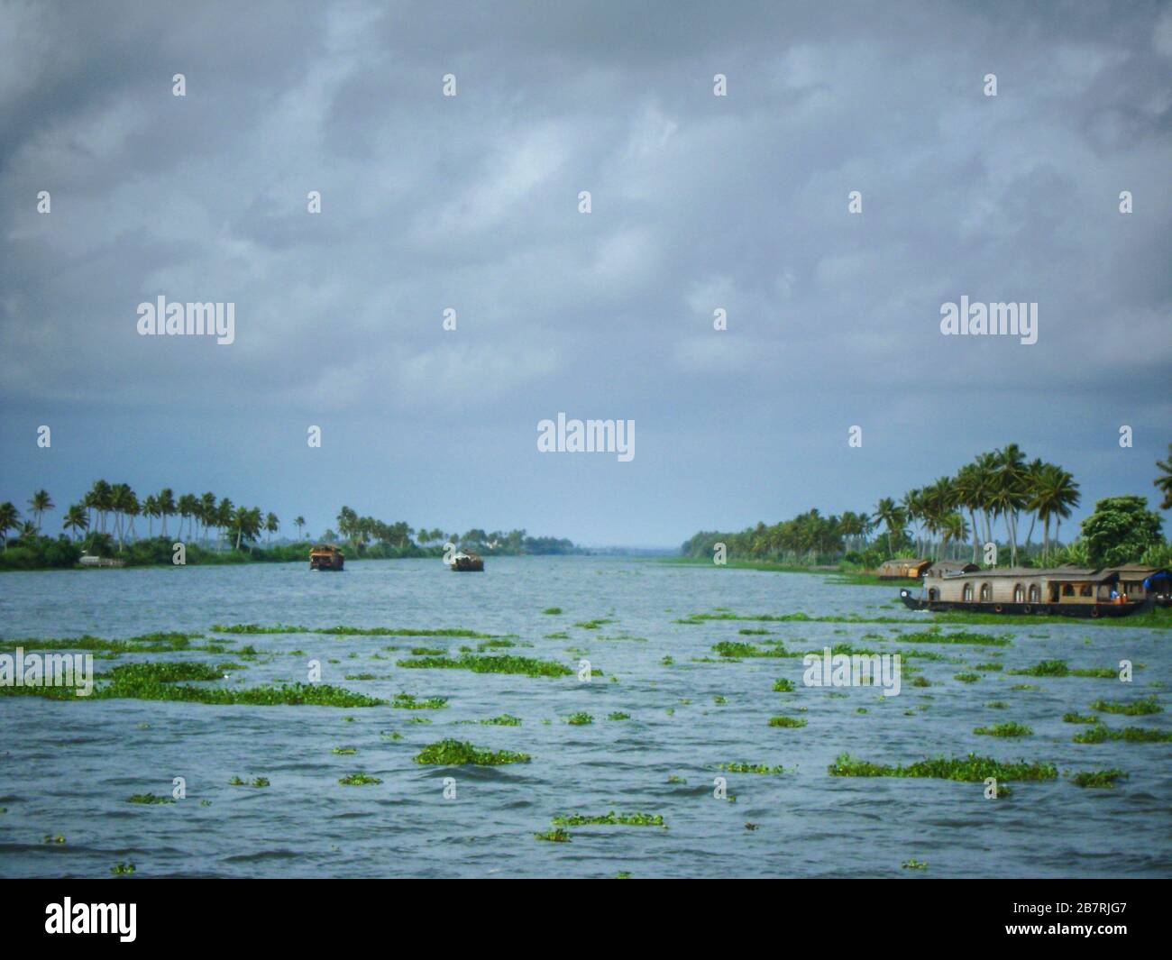 Famous backwaters of Alleppey aka alappuzha in Kerala, India Stock ...