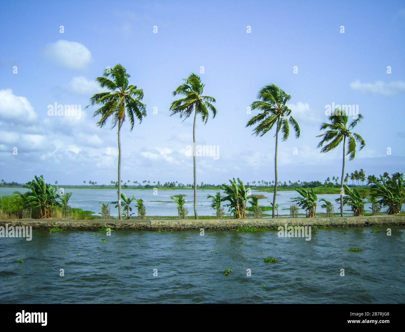 Famous backwaters of Alleppey aka alappuzha in Kerala, India Stock ...