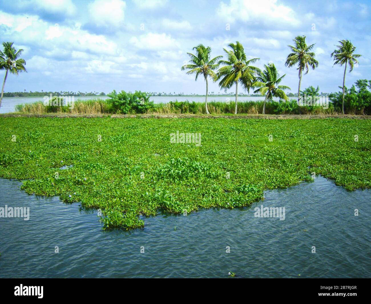 Famous backwaters of Alleppey aka alappuzha in Kerala, India Stock ...