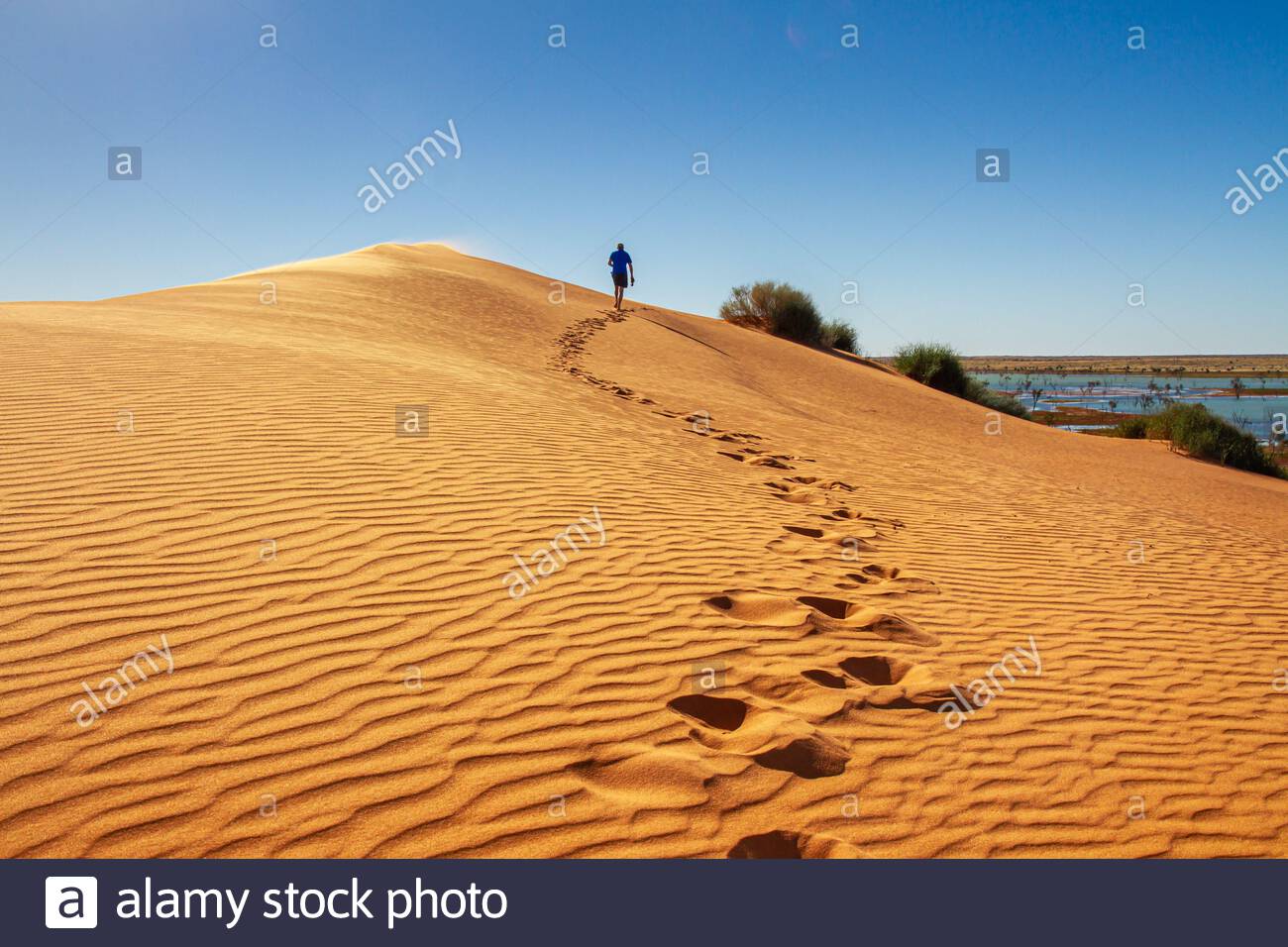 Simpson Desert High Resolution Stock Photography and Images - Alamy