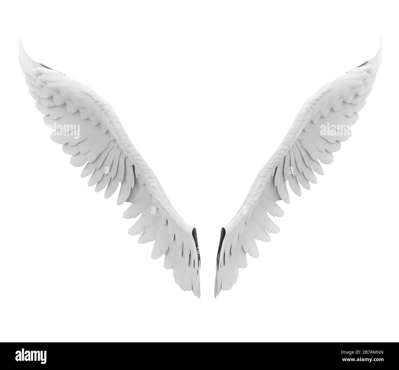 White Angel Wings Isolated Stock Photo - Alamy