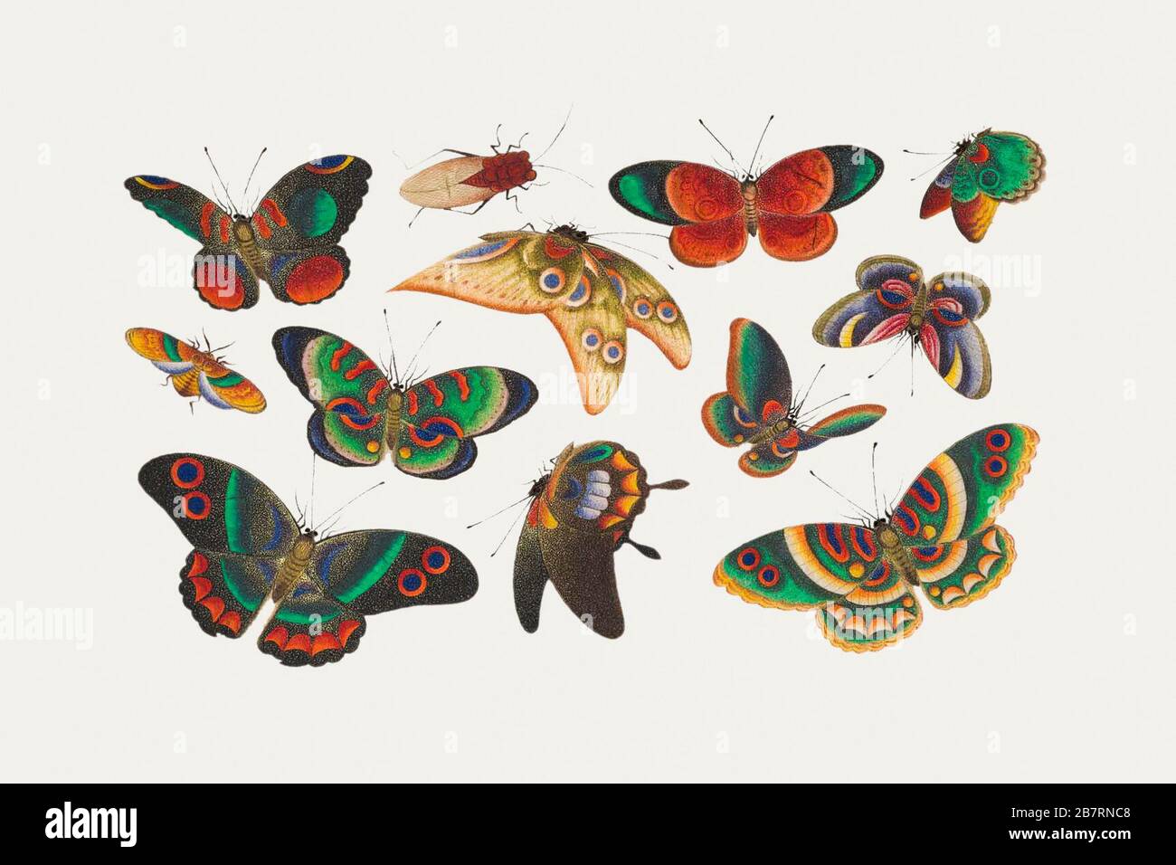 Chinese Butterfly Illustration High Resolution Stock Photography and ...