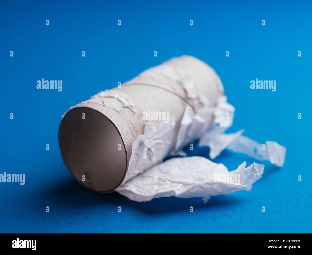Toilet paper core hi-res stock photography and images - Alamy