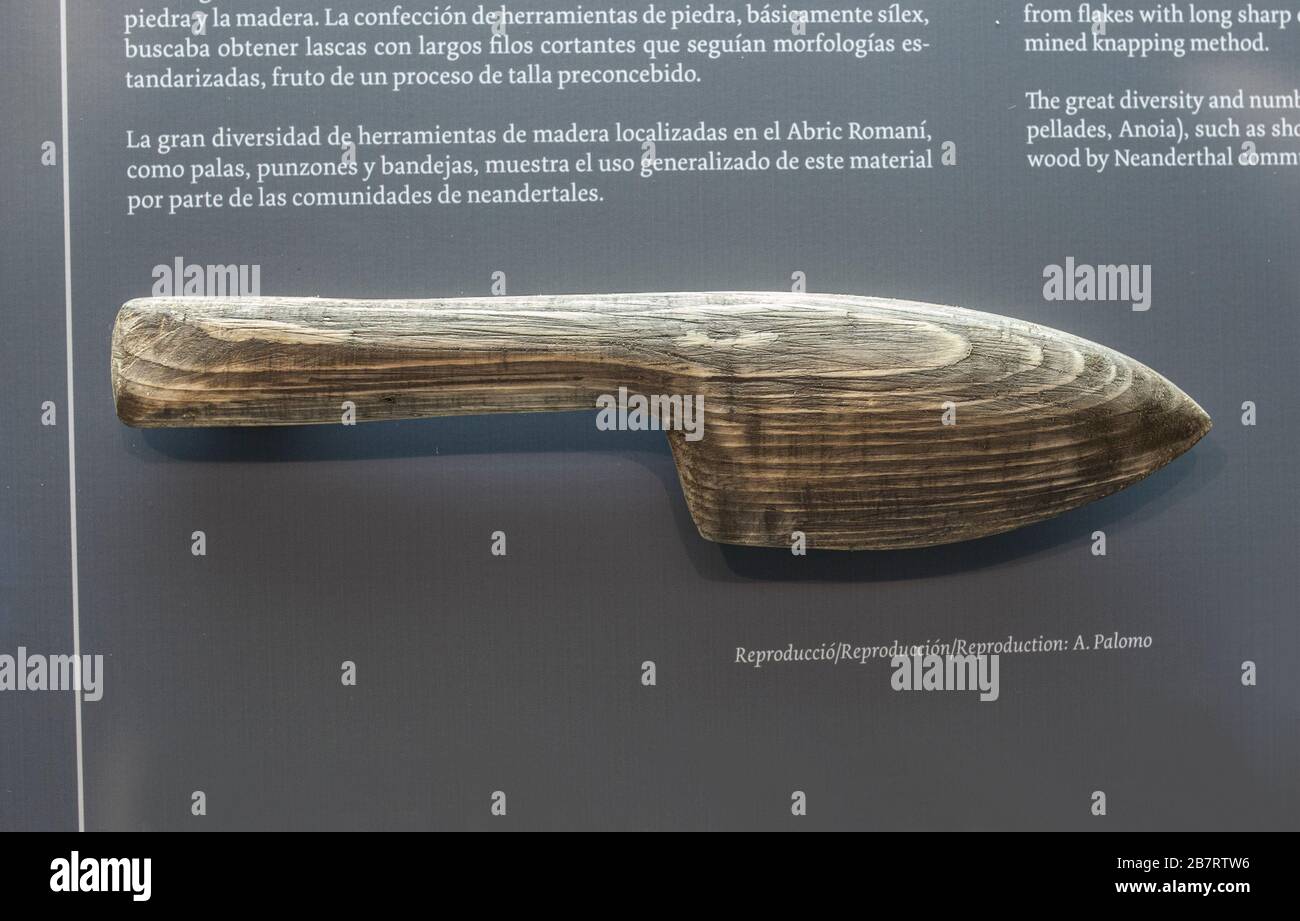 Neanderthal Reconstruction High Resolution Stock Photography and Images ...