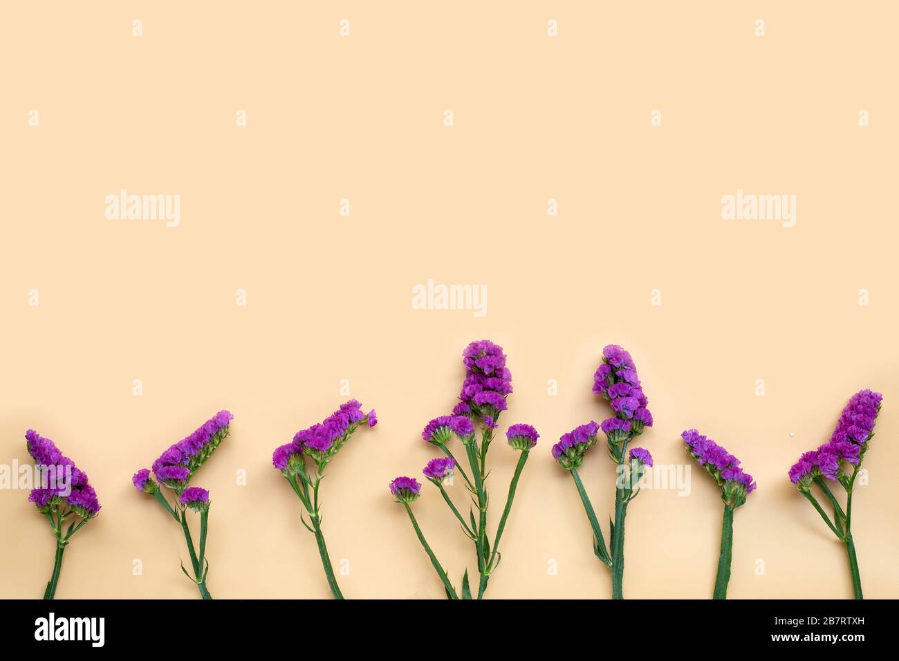 Static flowers hi-res stock photography and images - Alamy