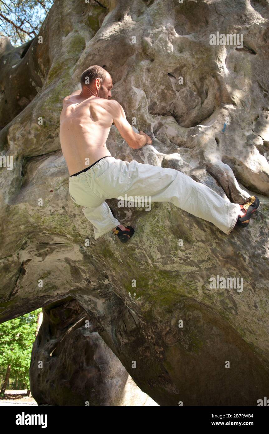 Bouldering at the rocks in the forests of Fontainebleau Stock Photo - Alamy